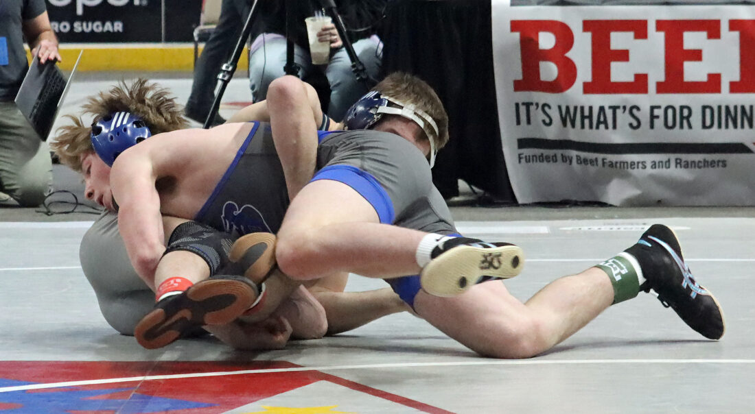 Warrior Run’s Reagan, Cameron Milheim reach state finals in Hershey ...